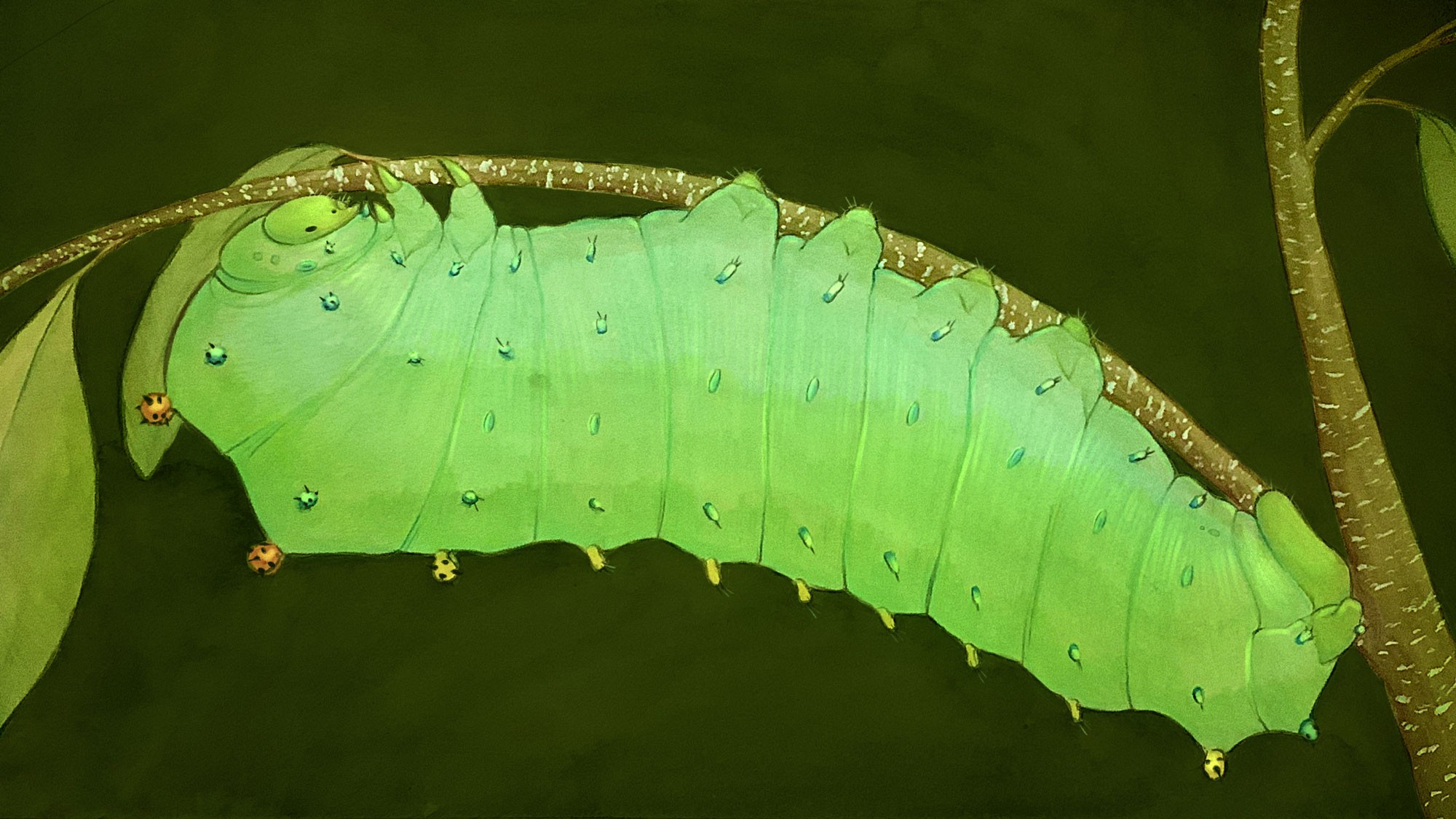 Jess Bell – Sheridan Illustration – Drawn Together