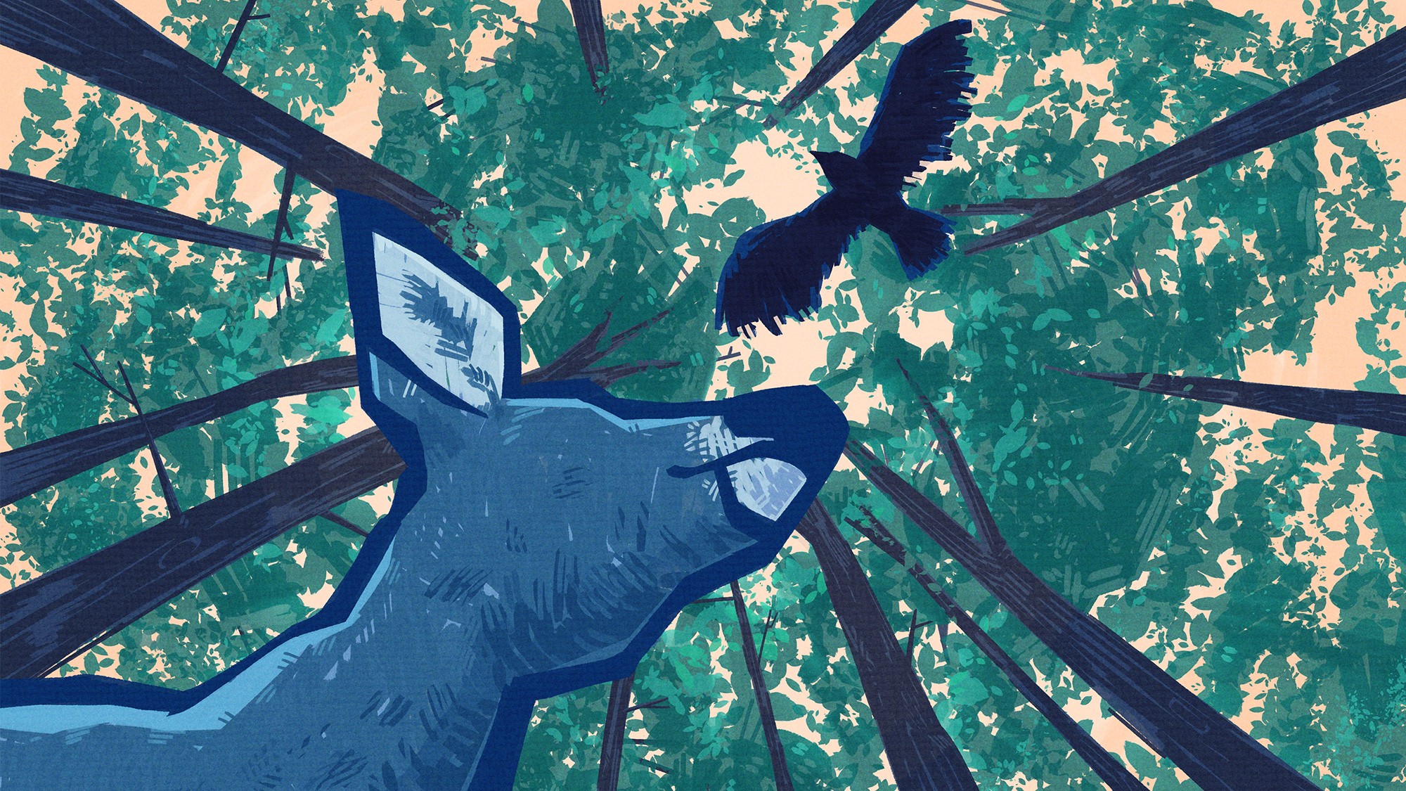 Lily Conroy – Sheridan Illustration – Drawn Together